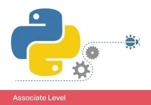 DevOps Artisan - Data Science in Python Fundamentals - Curs de 2 zile ...