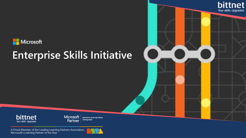 Enterprise Skills Initiative pentru sprijinirea proceselor de skilling ...