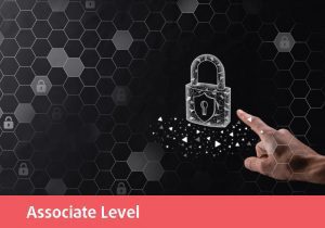 Cisco DCFNDU - Understanding Cisco Data Center Foundations - Curs de 5 zile - Bittnet Training