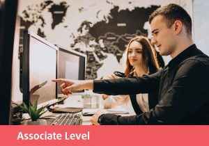 DevOps Artisan - DevOps Fundamentals - Curs de 1 zi - Bittnet Training