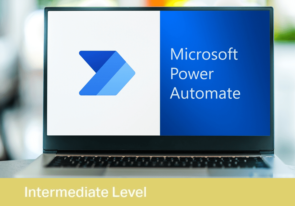 Microsoft PL-500: Microsoft Power Automate RPA Developer - 5 zile