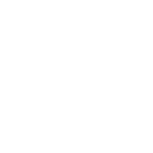 Microsoft DW-101: Copilot for Microsoft 365 Deployment Workshop - Bittnet Training